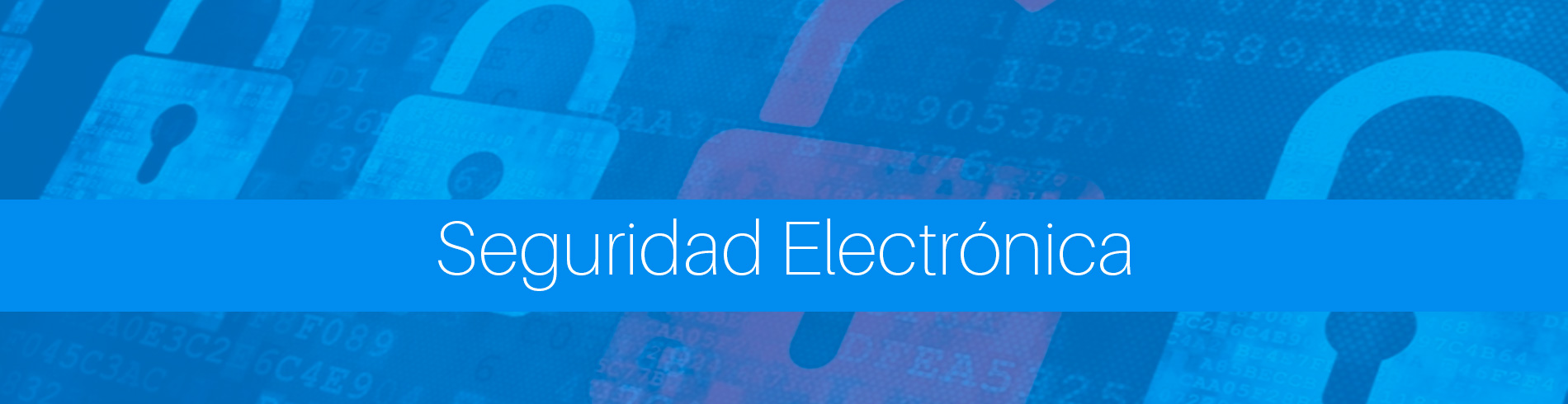 Seguridad Electronica – Servialco